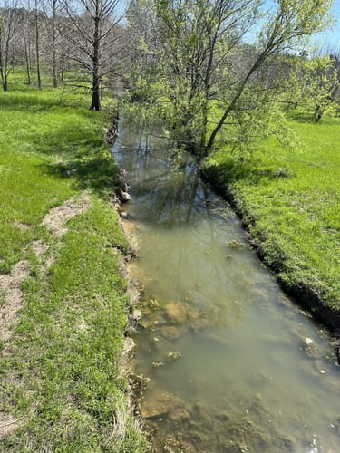 Best Hikes and Trails in Dixie Farm Road Park | AllTrails