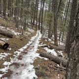 High Drive Parkway Trail, Washington - 769 Reviews, Map | AllTrails