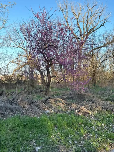 Best Hikes and Trails in Springfield Park | AllTrails