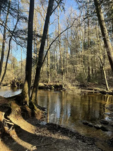 Best Hikes and Trails in Caledonia State Park | AllTrails