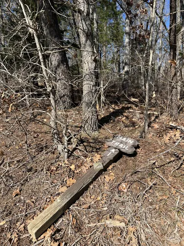 Best Hikes and Trails in Lake Cammack Park | AllTrails