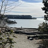 Seattle Waterfront Pathway, Washington - 719 Reviews, Map | AllTrails