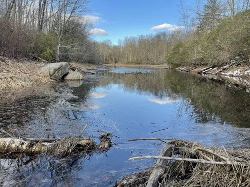 10 Best Hikes and Trails in Meshomasic State Forest | AllTrails