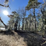 Cape Henry Trail, Virginia - 553 Reviews, Map | AllTrails