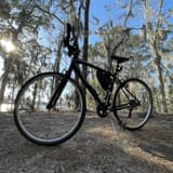 Cape Henry Trail, Virginia - 553 Reviews, Map | AllTrails