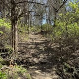 Oak Cliff Full Loop, Texas - 707 Reviews, Map | AllTrails