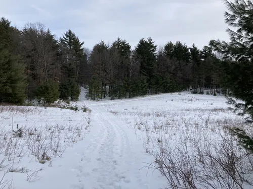 Best Hikes and Trails in Custer | AllTrails