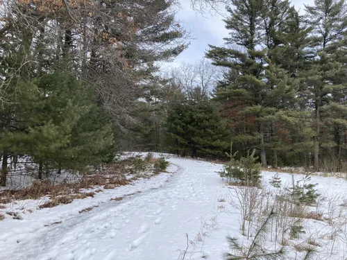 Best Hikes and Trails in Custer | AllTrails