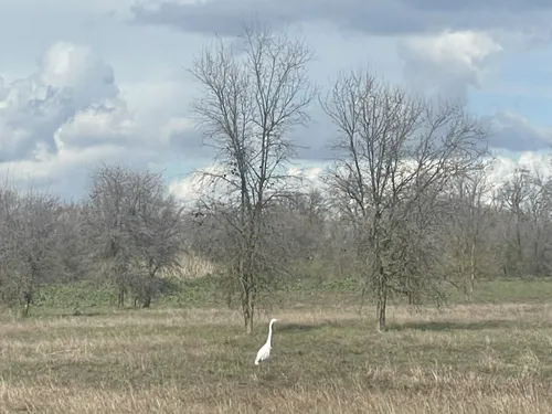 Best Hikes and Trails in Davis | AllTrails