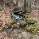 Gerard Hiking Trail, Pennsylvania - 300 Reviews, Map | AllTrails