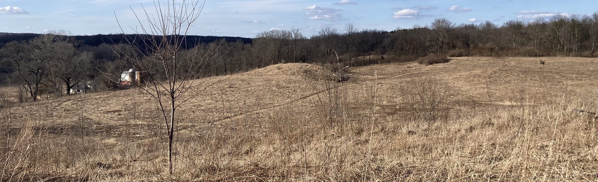 Otis Farm Bird Sanctuary Loop, Michigan - 28 Reviews, Map | AllTrails
