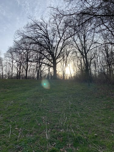 Best Hikes and Trails in Stanberry Park | AllTrails