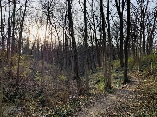 Best Hikes and Trails in Stanberry Park | AllTrails