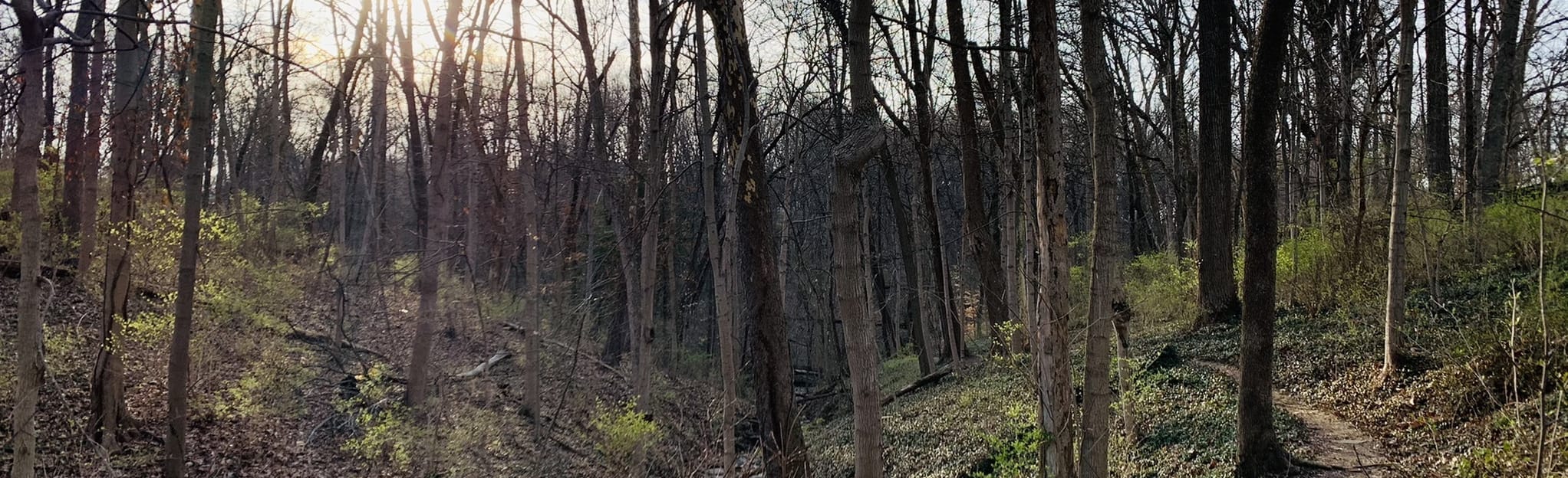 Stanberry Park Loop, Ohio - 63 Reviews, Map | AllTrails