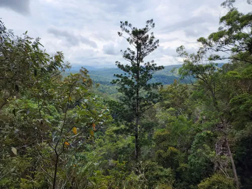 10 Best Trails and Hikes in Mount Mee | AllTrails