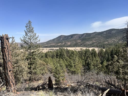 2023 Best Forest Trails in Beulah | AllTrails