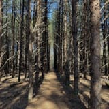 Peter's Creek Heritage Trail, South Carolina - 321 Reviews, Map | AllTrails