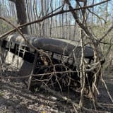 Peter's Creek Heritage Trail, South Carolina - 321 Reviews, Map | AllTrails