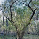 Peter's Creek Heritage Trail, South Carolina - 321 Reviews, Map | AllTrails