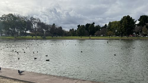 Best Hikes and Trails in Heartwell Park | AllTrails