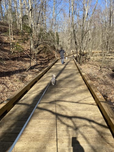 Best Hikes and Trails in Gilbert Run Park | AllTrails