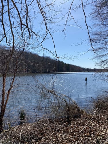 Best Hikes and Trails in Gilbert Run Park | AllTrails