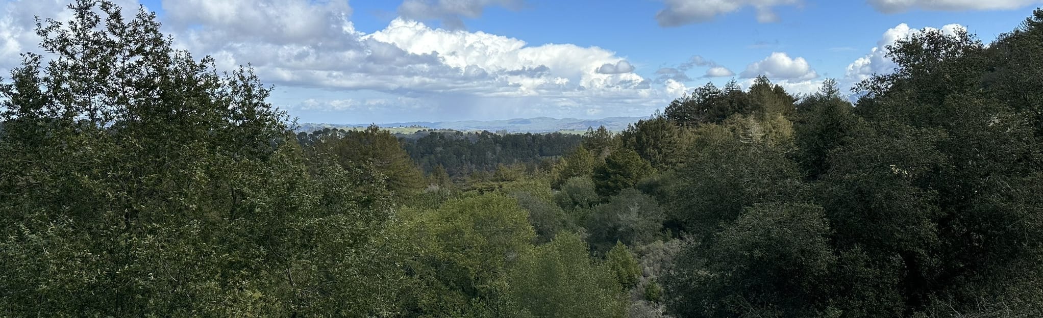 Joaquin Miller Park and Redwood Peak Loop: 286 Reviews, Map ...