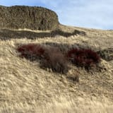 Towell Falls from Escure Ranch, Washington - 207 Reviews, Map | AllTrails