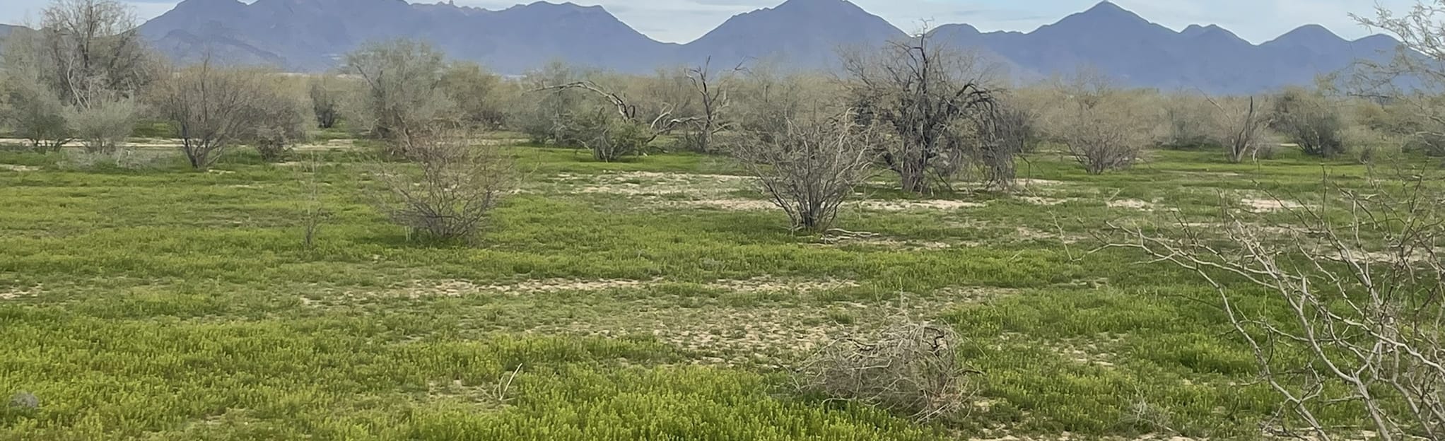 AllTrails | Reach 11 Recreation Double Loop: 391 Reviews, Map - Arizona