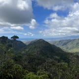 Moanalua Valley and Tripler Ridge Trail Loop, Oahu, Hawaii - 191 ...