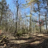 Red Byrd Arch, Kentucky - 243 Reviews, Map | AllTrails