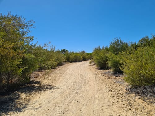 Best Hikes and Trails in Beeliar Regional Park | AllTrails