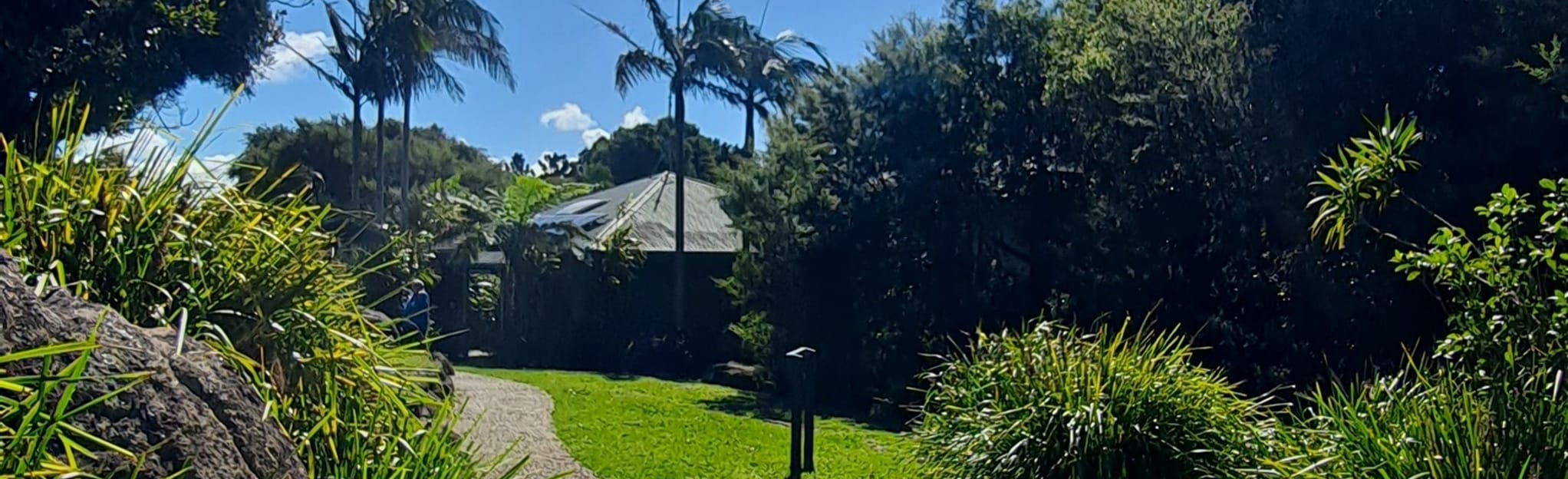 Mick's Tower: 21 Reviews, Map - Queensland, Australia | AllTrails