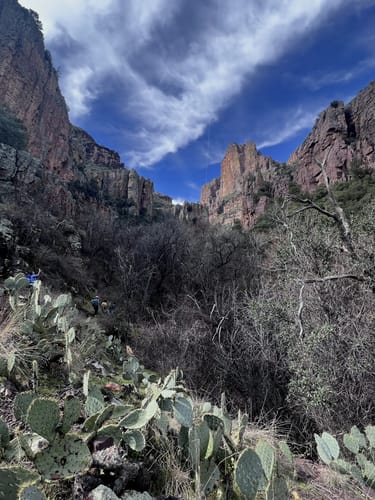 Best Hikes and Trails in Sierra Ancha Wilderness Area | AllTrails