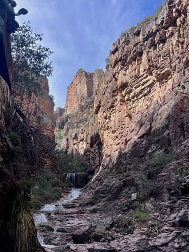 Best Hikes and Trails in Sierra Ancha Wilderness Area | AllTrails