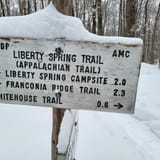Mount Flume, New Hampshire - 337 Reviews, Map | AllTrails