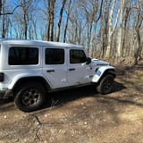 Nimblewill Gap OHV Road, Georgia - 356 Reviews, Map | AllTrails