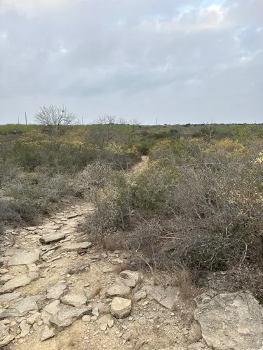 Best Hikes and Trails in Falcon State Park | AllTrails