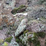 White Cliffs Wagon Trail, Arizona - 307 Reviews, Map | AllTrails