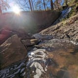 Peter's Creek Heritage Trail, South Carolina - 320 Reviews, Map | AllTrails