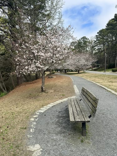 Best Hikes and Trails in Bess Walker Park | AllTrails