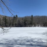 Benedict Pond Loop Trail, Massachusetts - 620 Reviews, Map | AllTrails