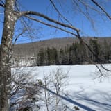 Benedict Pond Loop Trail, Massachusetts - 623 Reviews, Map | AllTrails