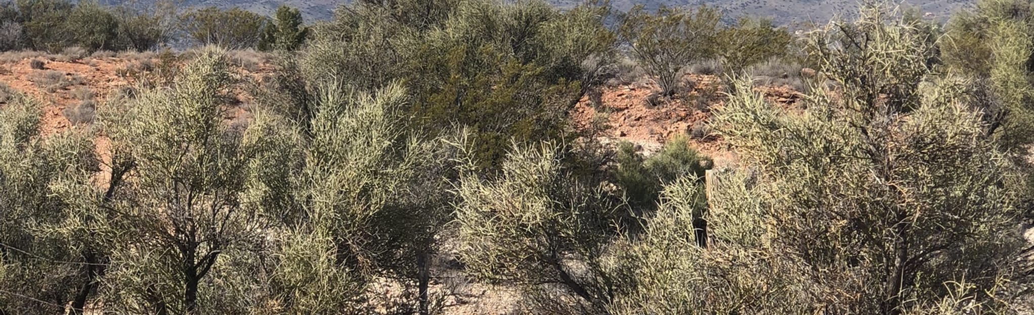 Lower Raptor, Upper Raptor, Rust Bucket and Bones Loop, Arizona - 62 ...