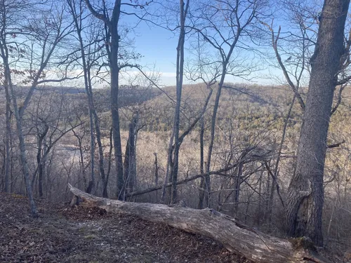 Best Walking Trails in Busiek State Forest and Wildlife Area | AllTrails