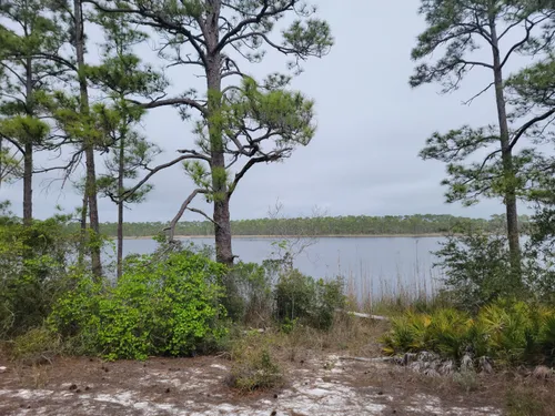 Best Hikes and Trails in Bon Secour National Wildlife Refuge | AllTrails