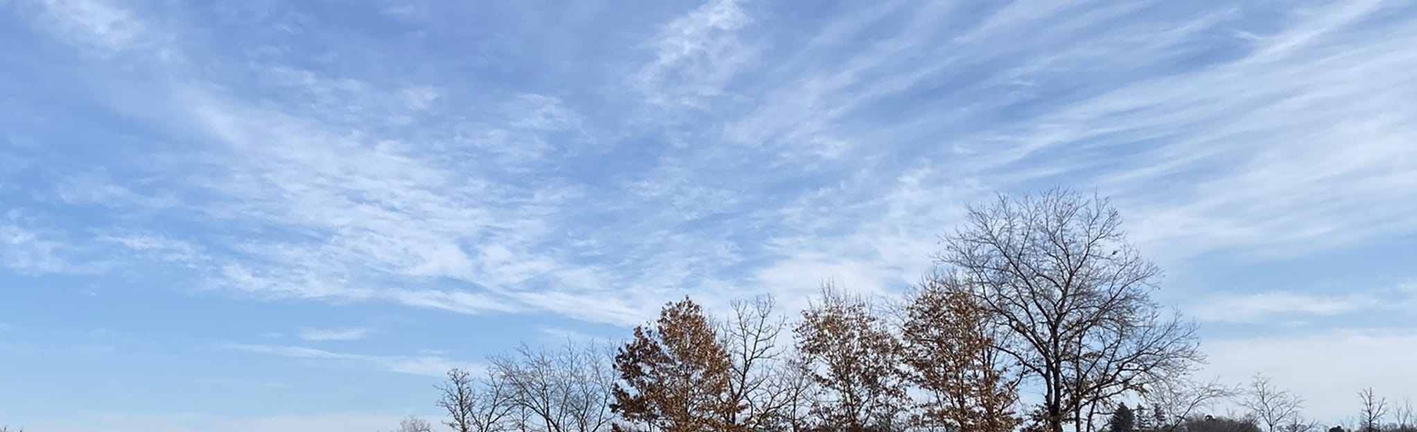 AllTrails | Ice Age Trail: Monticello to Ross Crossing: 69 Reviews, Map ...