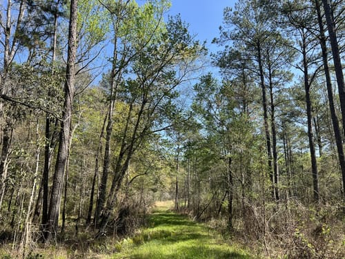 Best Hikes and Trails in River Creek Wildlife Management Area | AllTrails