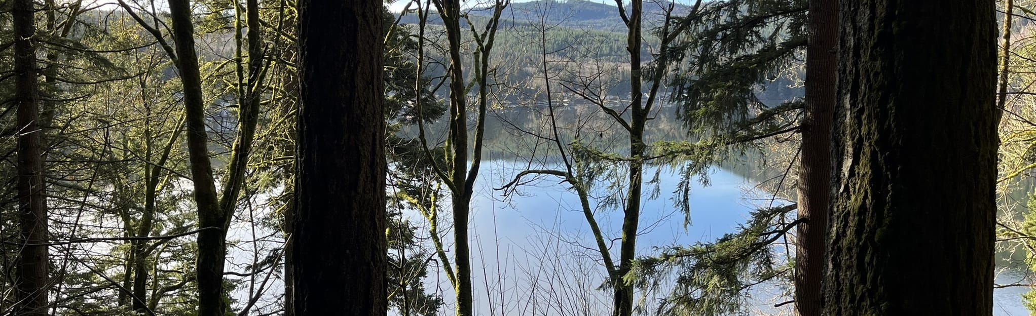 Lake Samish Park Hillside Park: 79 Reviews, Map - Washington | AllTrails