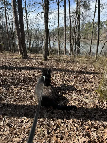 Best Hikes and Trails in Arlie Moore Recreation Area | AllTrails